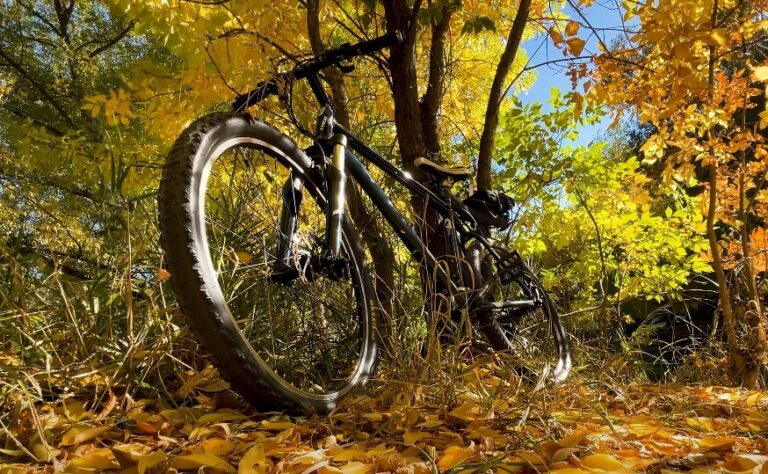 Trek 3700 Mountain Bike Review 2024 – Conquer Any Terrain