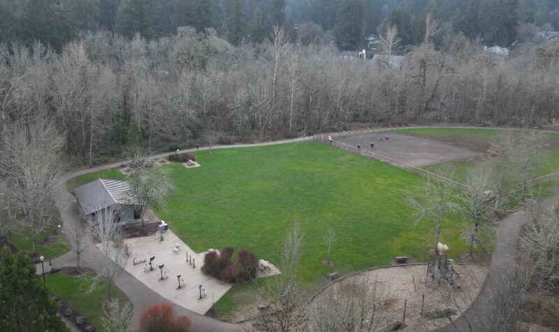 15 Must-Ride Bike Routes in Portland for Every Cyclist in 2025