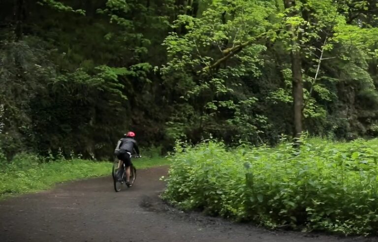 15 Must-Ride Bike Routes in Portland for Every Cyclist in 2025