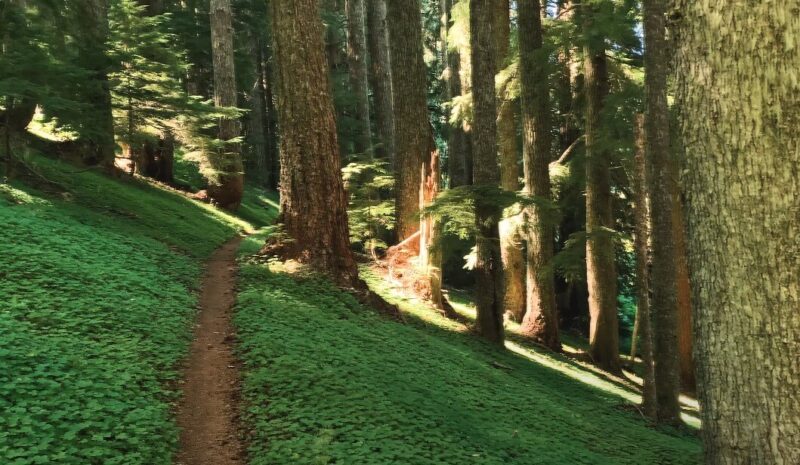 15 Must-Ride Bike Routes in Portland for Every Cyclist in 2025