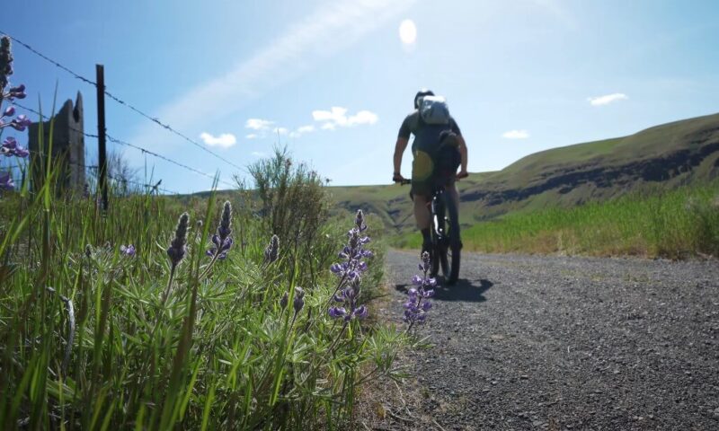 15 Must-Ride Bike Routes in Portland for Every Cyclist in 2025