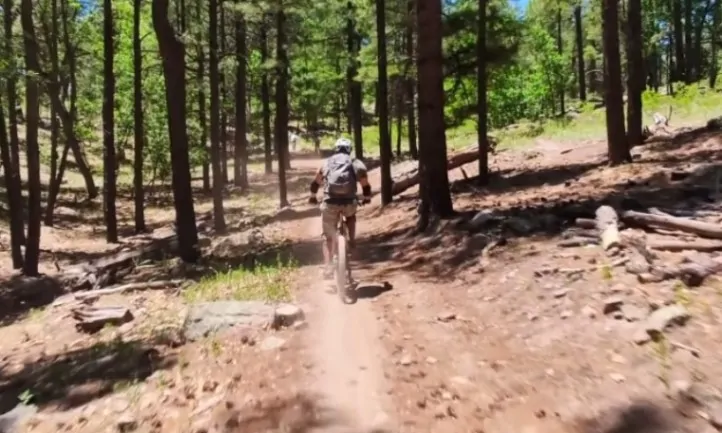 Best Mountain Biking Trails In Georgia - Singletrack, Views, and Big ...